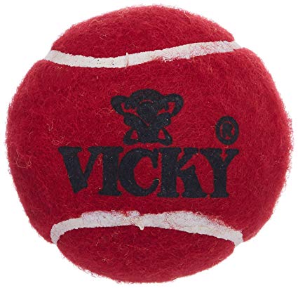 Vicky Red Hard Tennis Ball – brewing-cricket-singapore